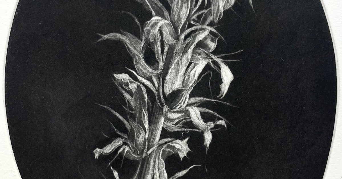 Judith Rothchild - Overview | Galerie Documents 15