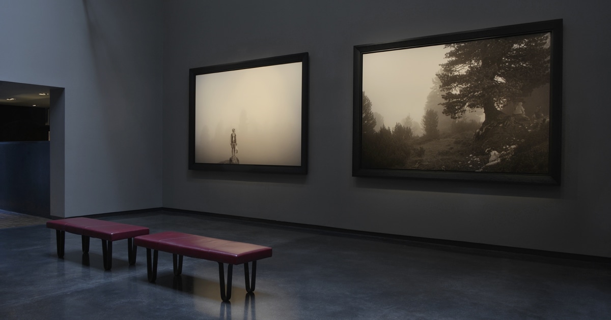 Erwin Olaf: Im Wald | 8 March - 23 April 2022 - Works | Hamiltons