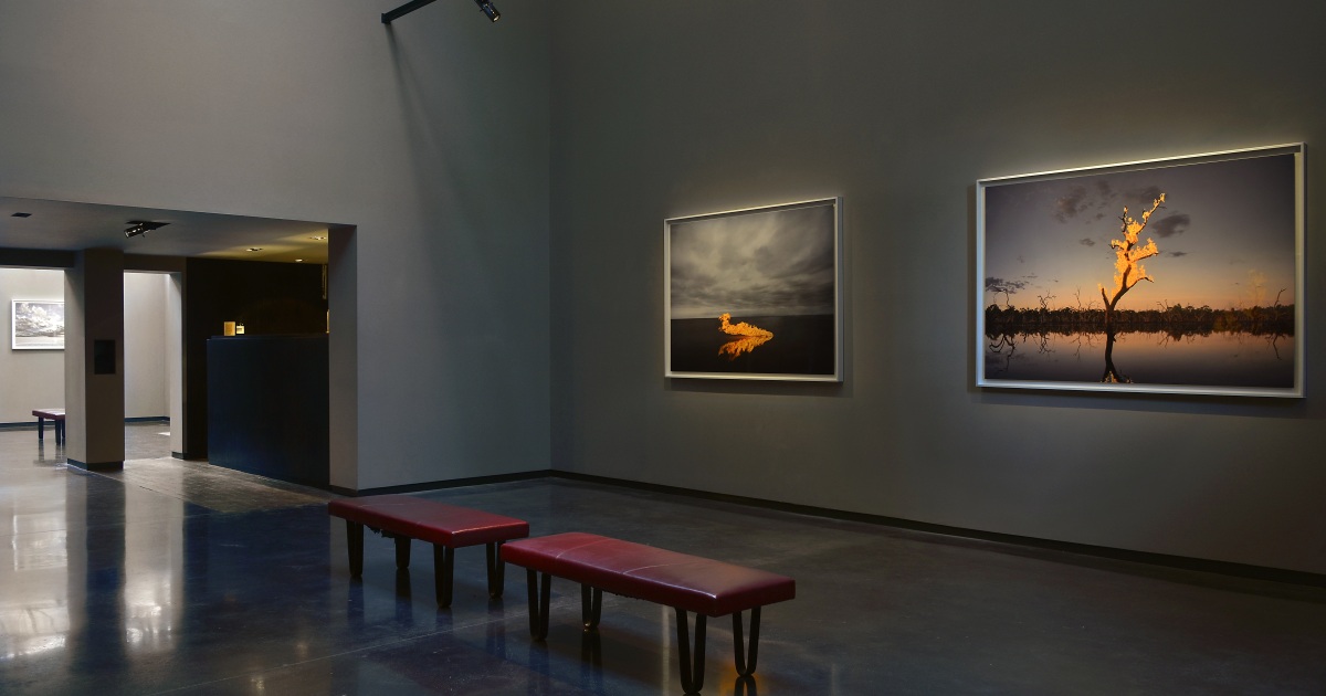 Murray Fredericks: BLAZE | 14 November 2022 - 21 January 2023 - Works | Hamiltons