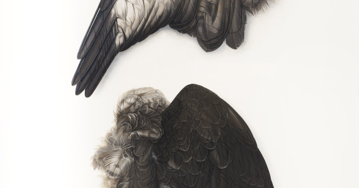 Buzzard's Wing 2010-13 Gouache on paper 71 x 51 cm | Elizabeth ...