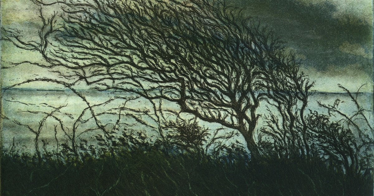 Jolanta Grzybowska Sand Point Tree | Small But Mighty 2024 | The Royal ...