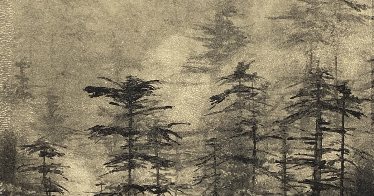 Fiona Fouhy ARE - Biography | The Royal Society of Painter-Printmakers