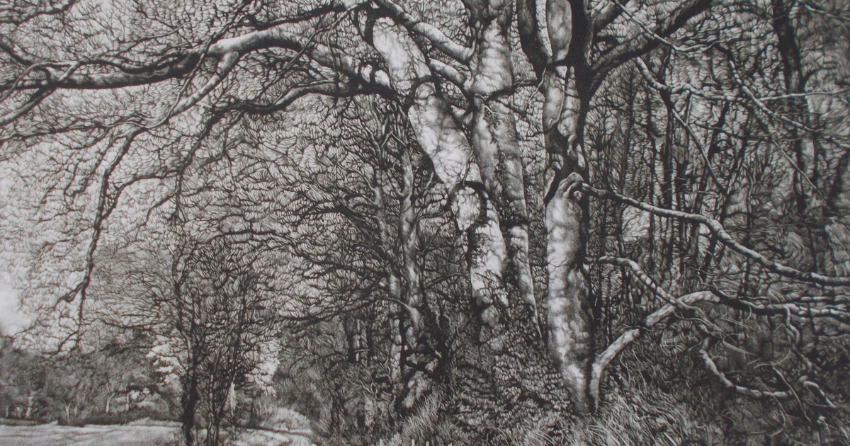 Martin Mitchell ARE - Biography | The Royal Society of Painter-Printmakers