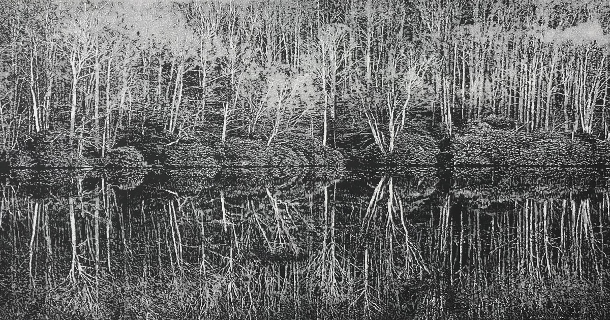 Trevor Price RE - Works | The Royal Society of Painter-Printmakers