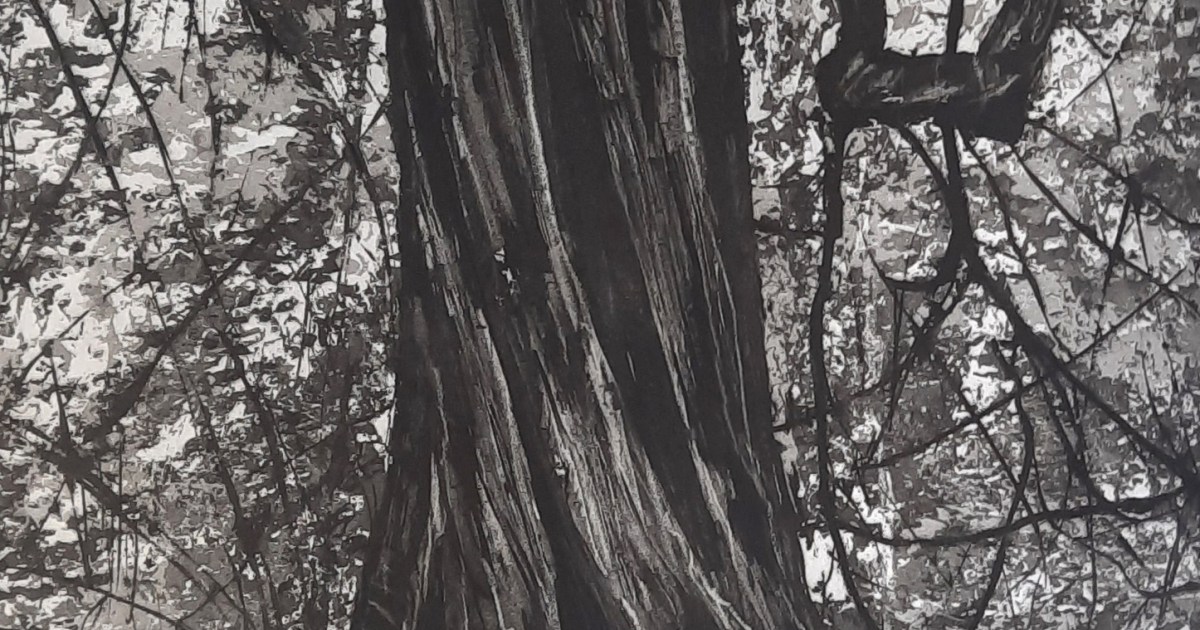 Jemma Gunning RE, Clifford Woods II | RE ORIGINAL PRINTS 2024 | The ...