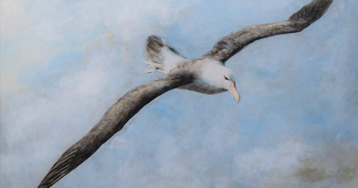 Works - Mandy Shepherd | Rountree Tryon