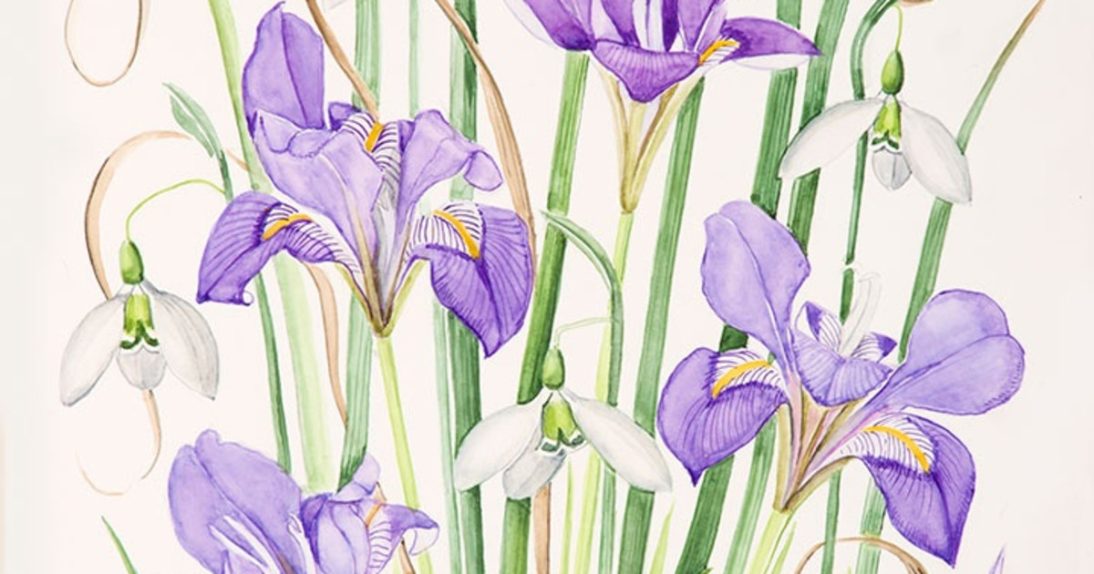 Works - Summer Exhibition | Rountree Tryon