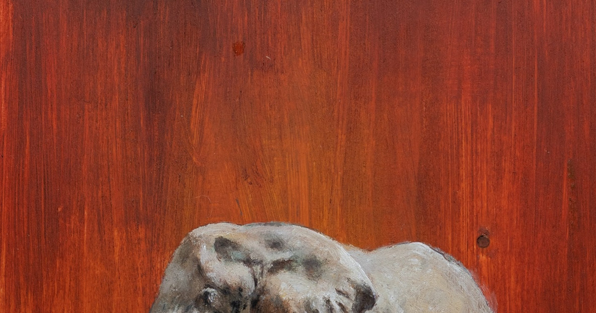 Works - Mandy Shepherd | Rountree Tryon