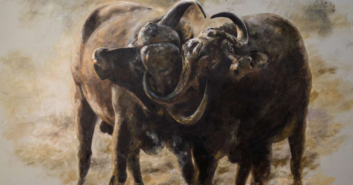 Works - Mandy Shepherd | Rountree Tryon