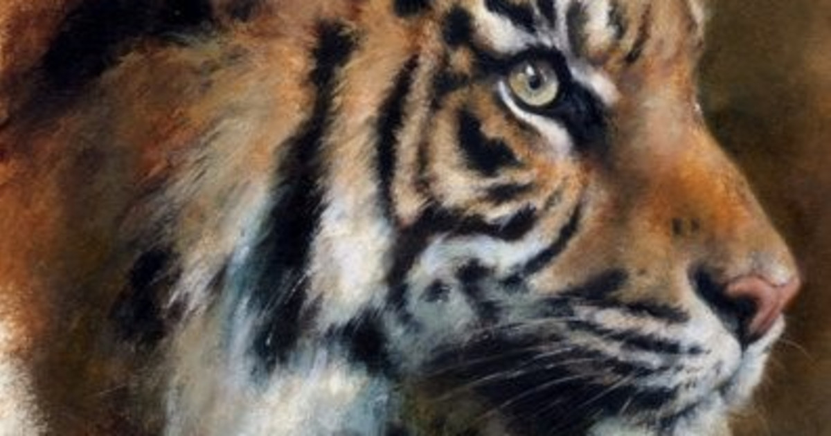 Mandy Shepherd | 23 September - 9 October 2021 - Overview | Rountree Tryon