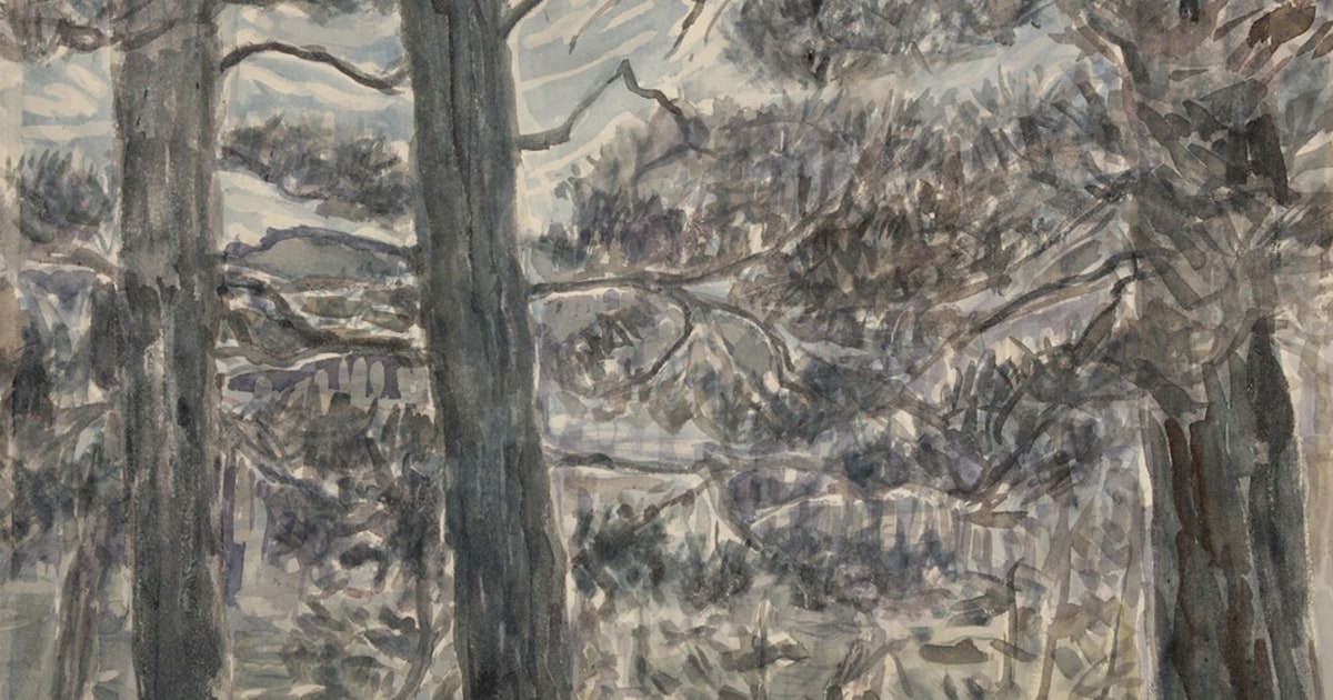 Janet Johnson | RWS Open | Royal Watercolour Society
