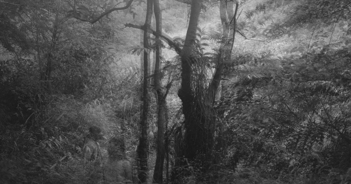 ©️刘珂&晃晃 | More Than Meets the Eye Three Shadows——+3 Gallery Special Display