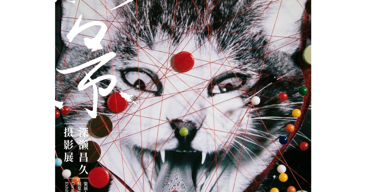 Private Scenes: Masahisa Fukase | 27 June - 8 September 2024 - Overview | Three Shadows