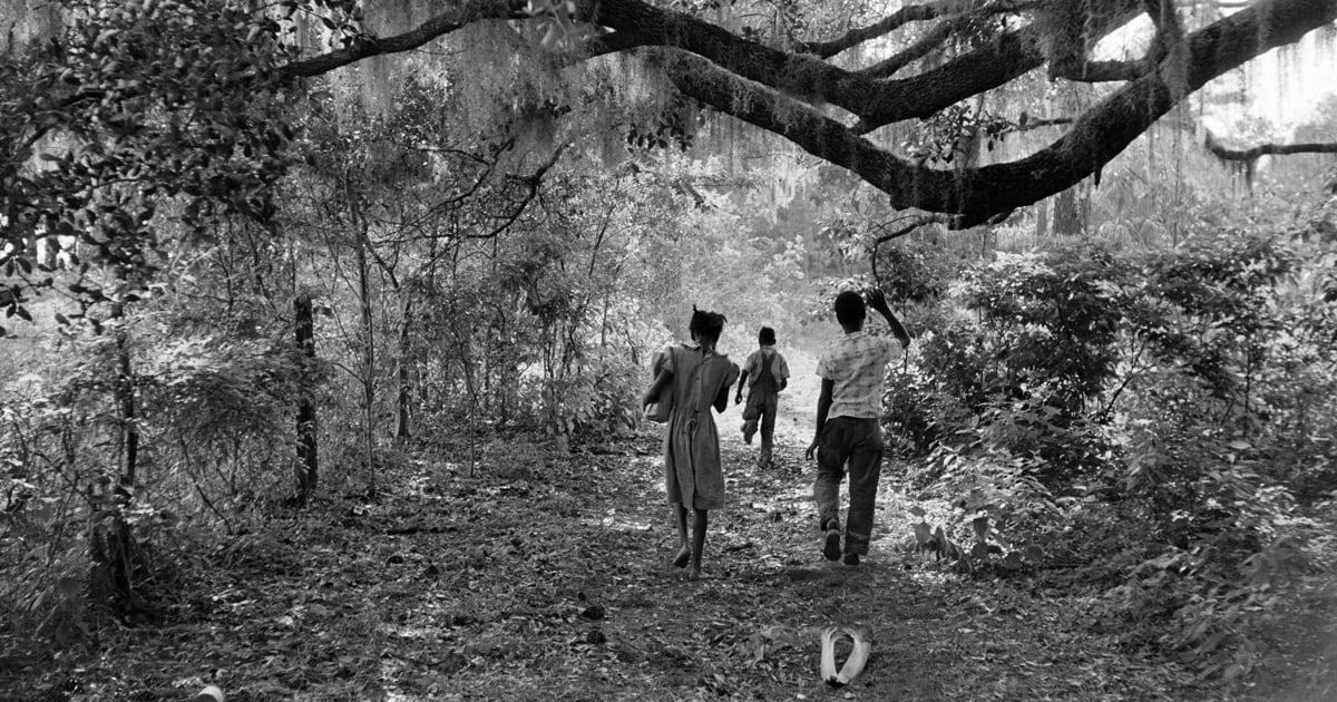 Constantine Manos - Overview | Robert Klein Gallery