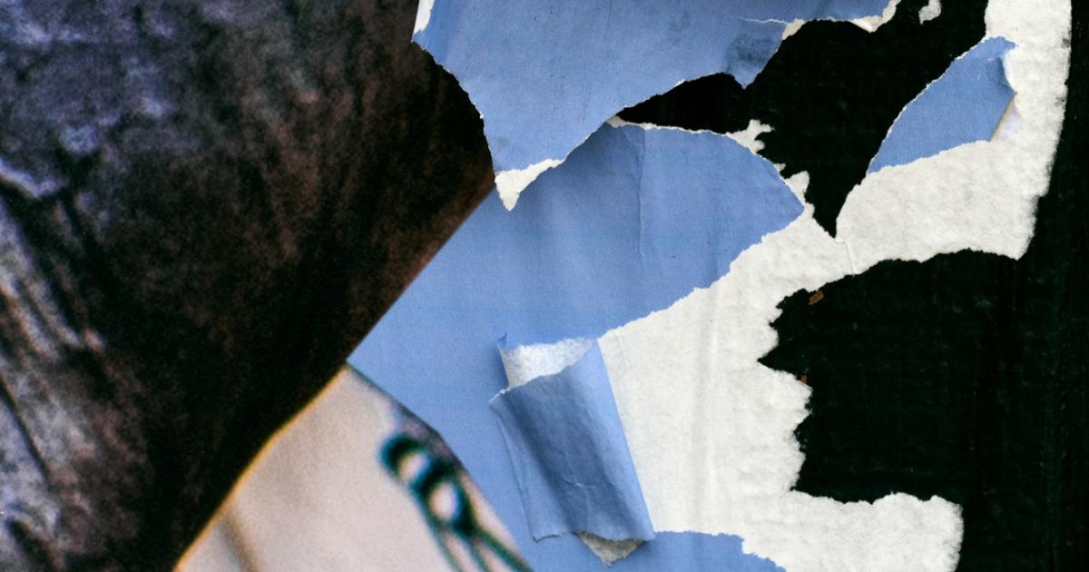 David Reinfeld | Koslov Larsen