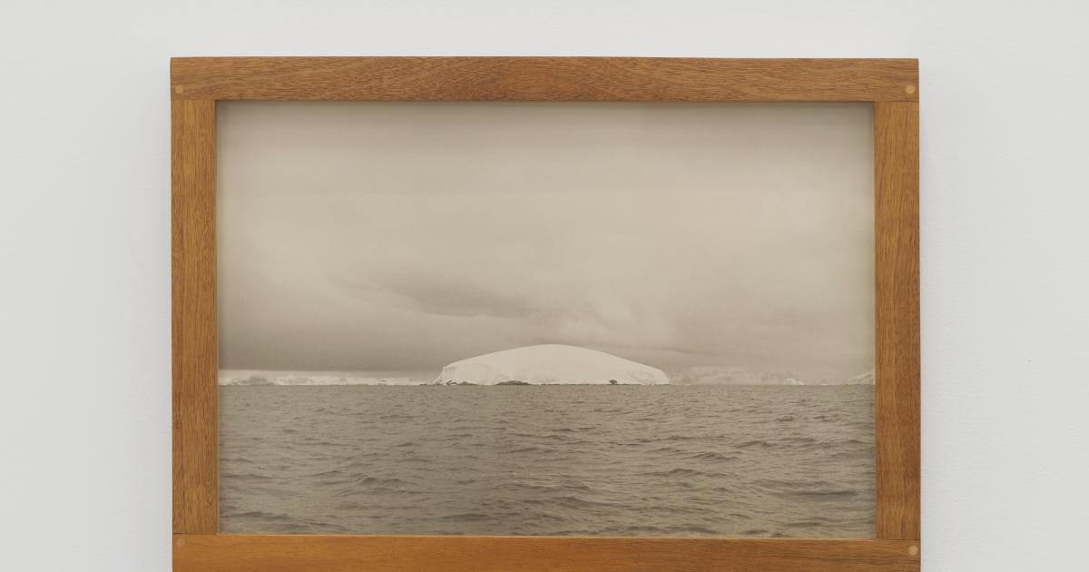 Will Rogan | Altman Siegel Gallery