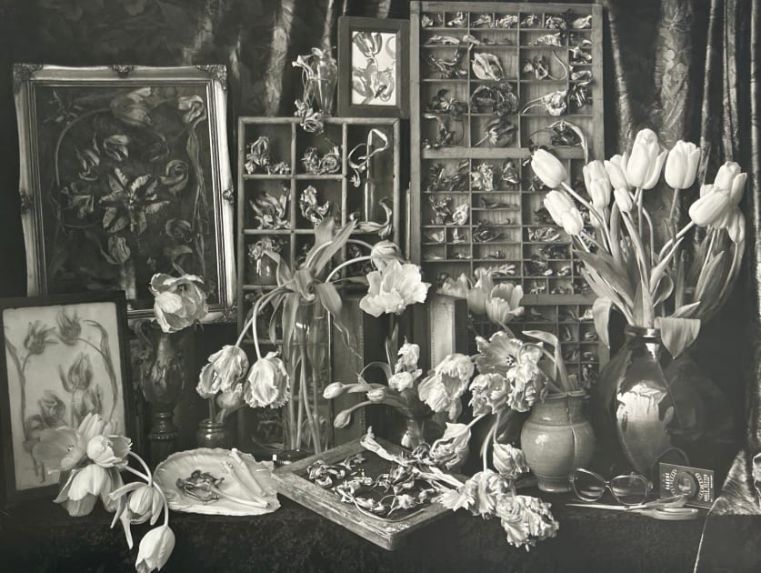 John Blakemore. Large Prints | CENTRE FOR BRITISH PHOTOGRAPHY