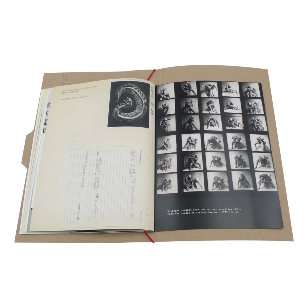 EVIDENCE CASE FILE | Michael Hoppen Gallery