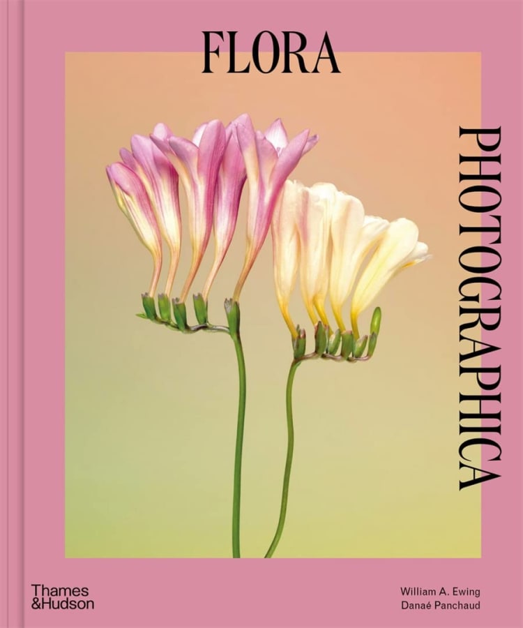 Flora Photographica | Masterworks of Contemporary Flower Photography ...