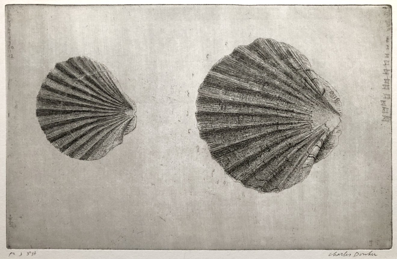 Charles Donker, Twee schelpen met cijfers (Deux coquillages et des ...