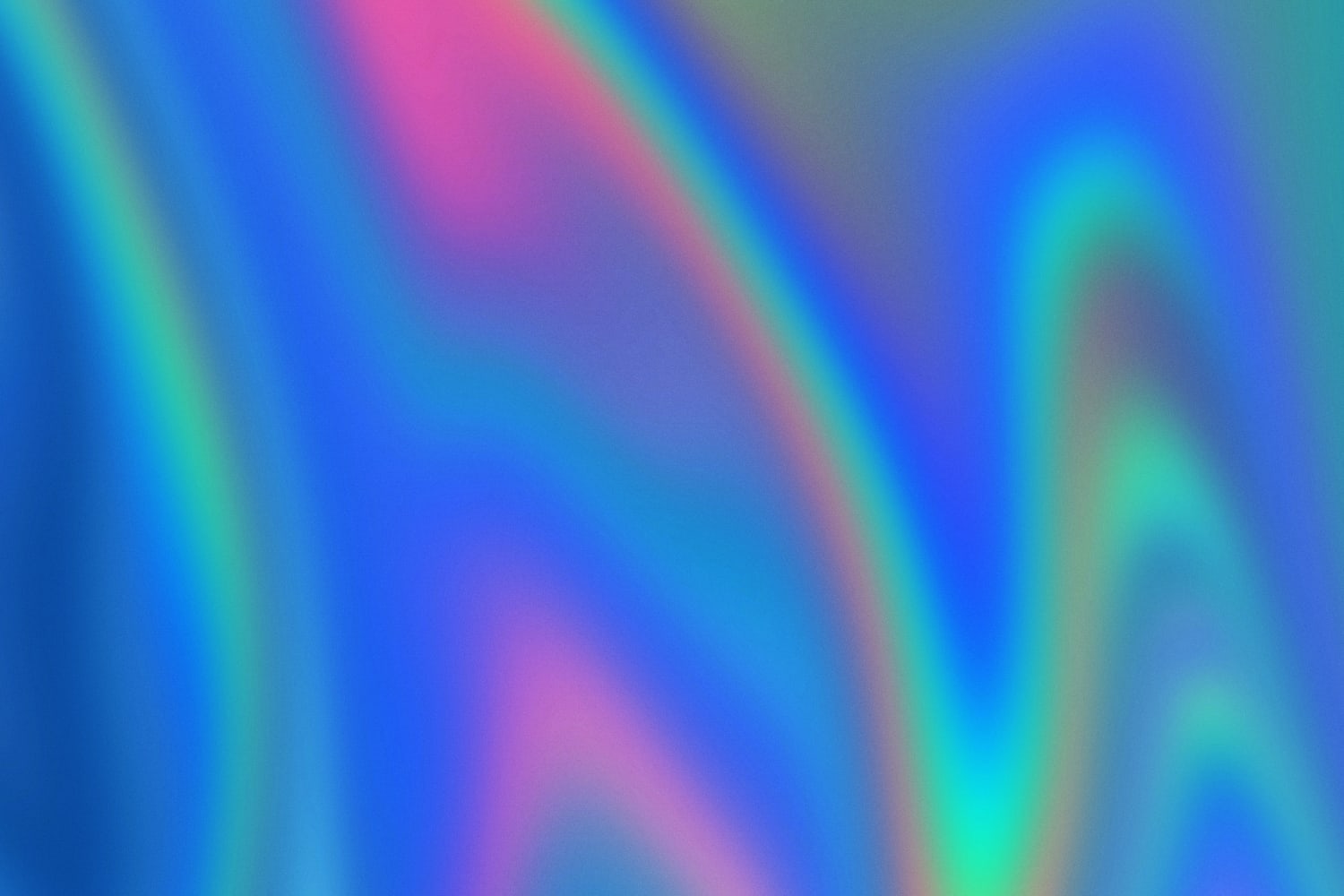 Shirin Aliabadi | The Third Line