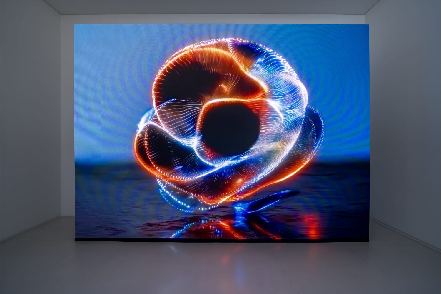 champagne supernova studio