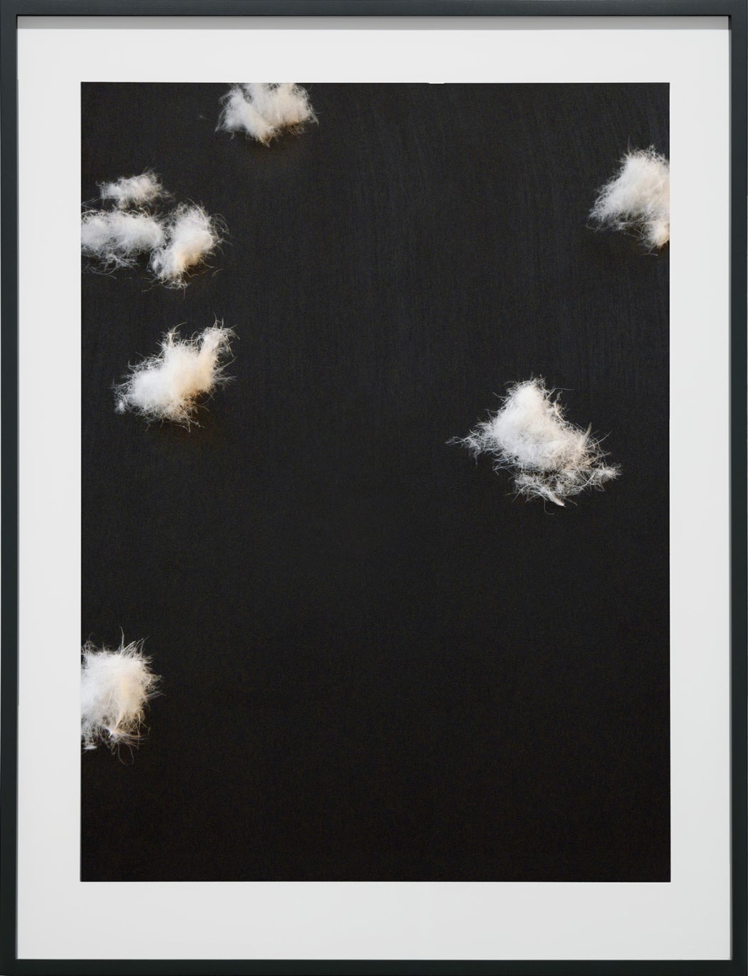 Lothar Baumgarten - Marian Goodman Gallery