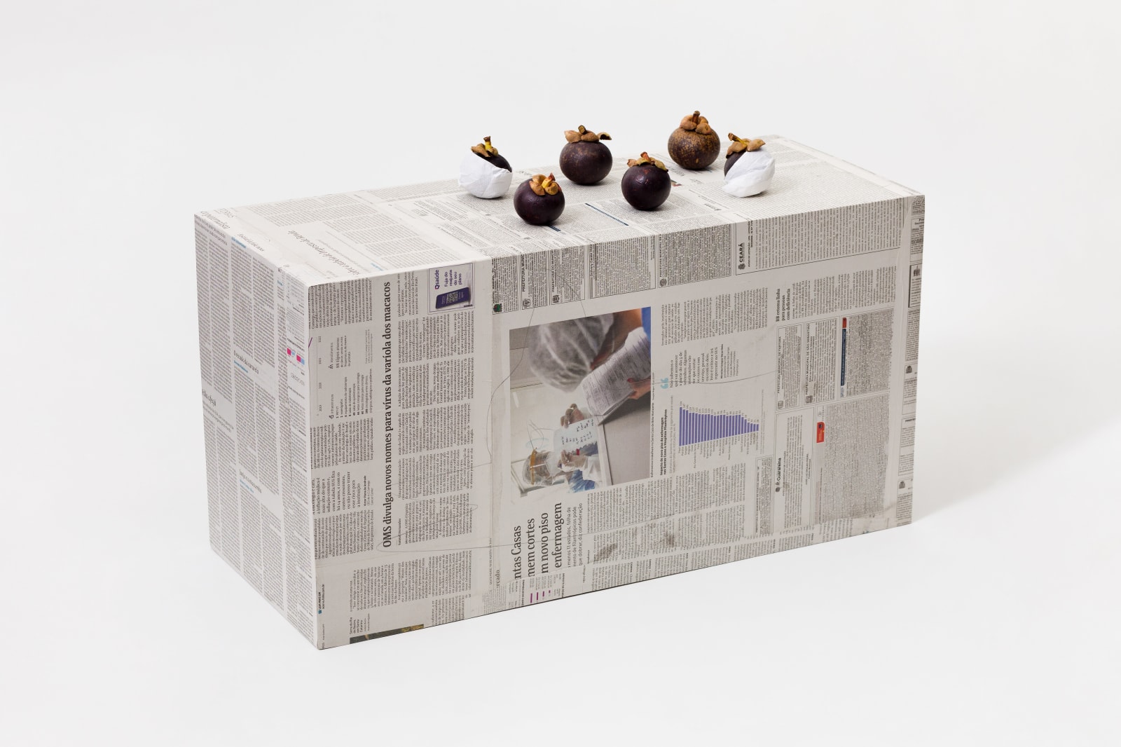 Kasper Bosmans, Dwarf Parade Dog (Fish), 2022 | Mendes Wood DM