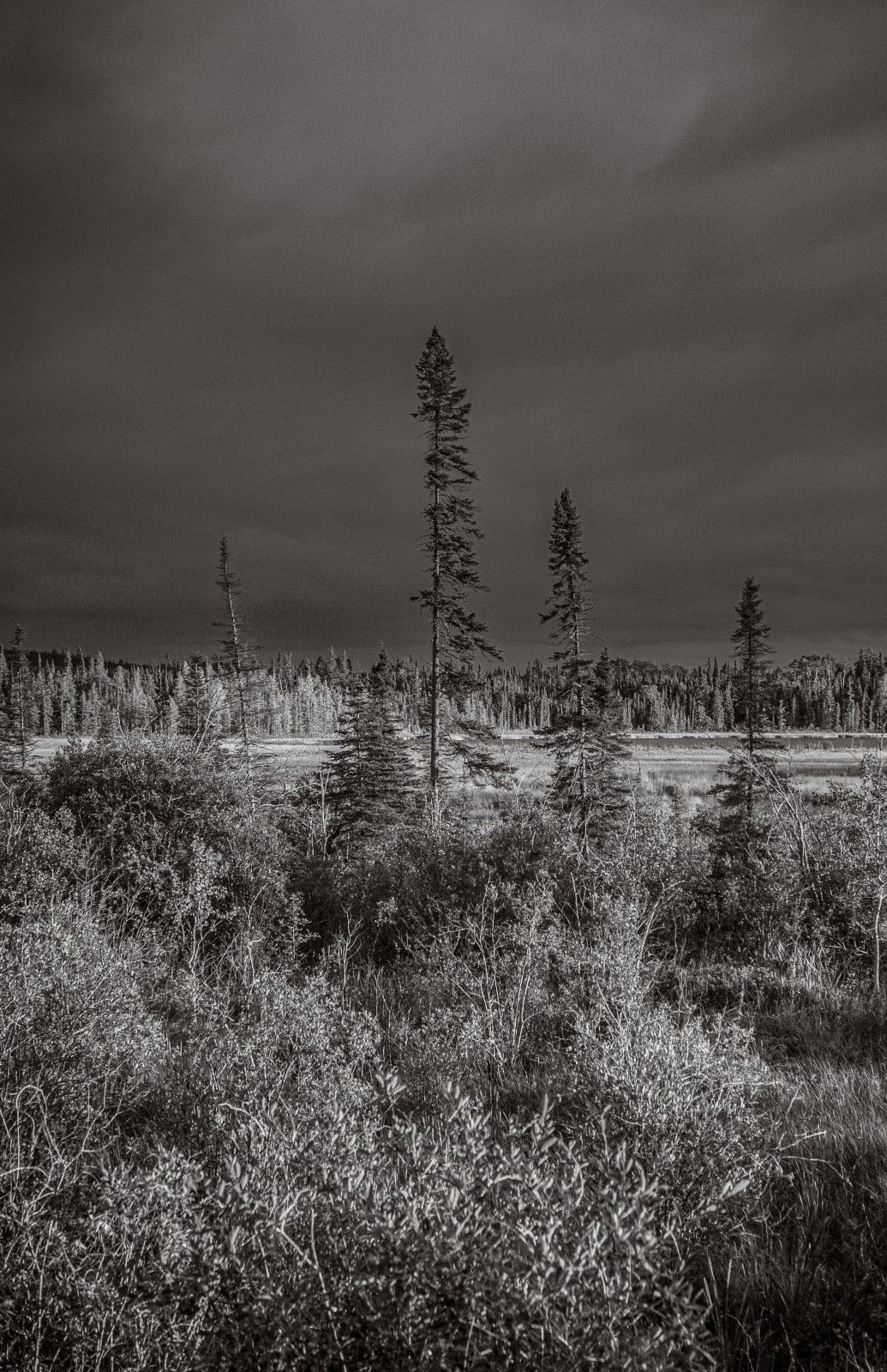 Steve Kean, Storm Light - Unframed, 2025 | Abbozzo Gallery