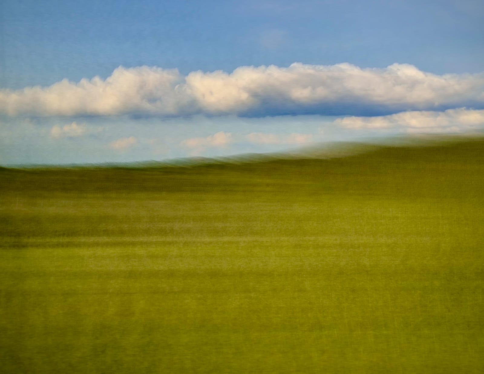 Steve Kean, Summer Dream #1, 2024 | Abbozzo Gallery