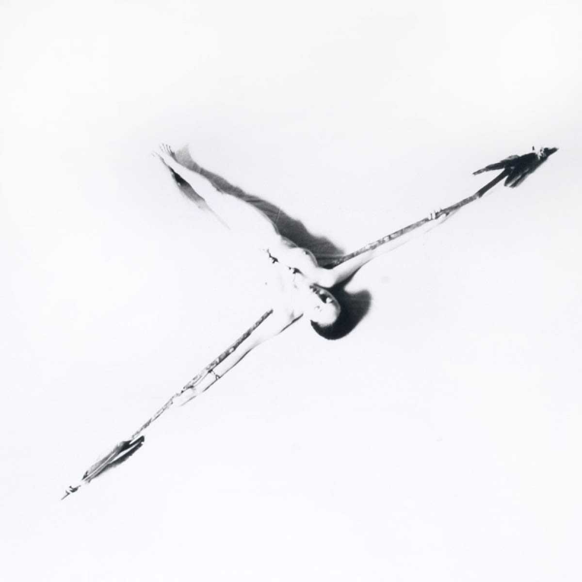 María José Arjona, Doble Pájaro / Double bird, 2014 | Coleccion Balanz