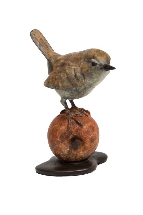 David Meredith, Wren on Apple | Ballater Gallery