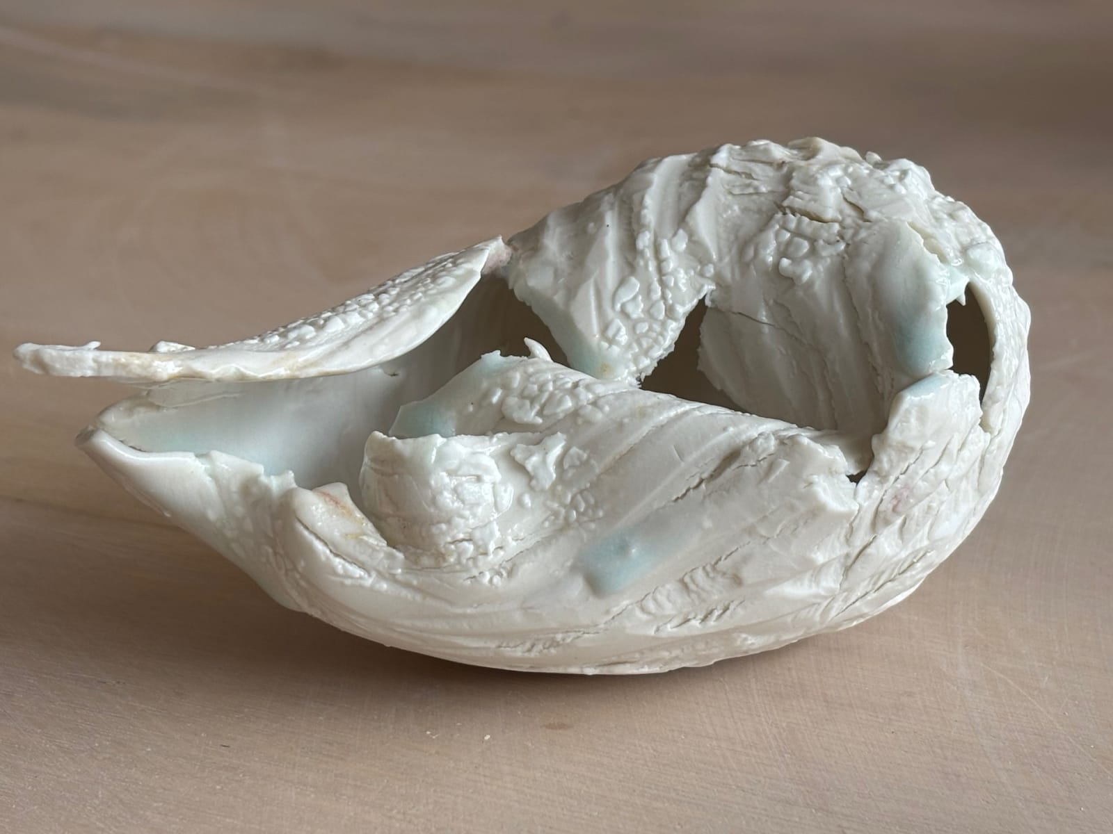 Nancy Main, Fallen 1, 2025 | Contemporary Applied Arts