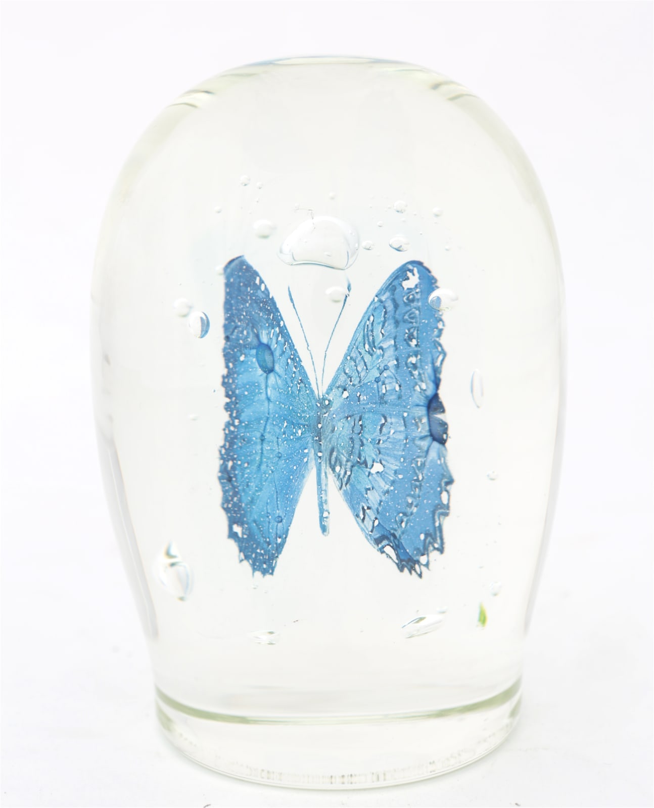 Tegan Hamilton, Lepidoptera VII, 2014 | Canberra Art Gallery