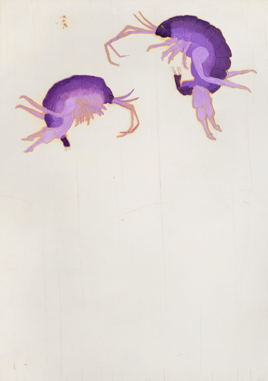 Kate Boxer, Sandhoppers I (Mounted) | Cricket Fine Art