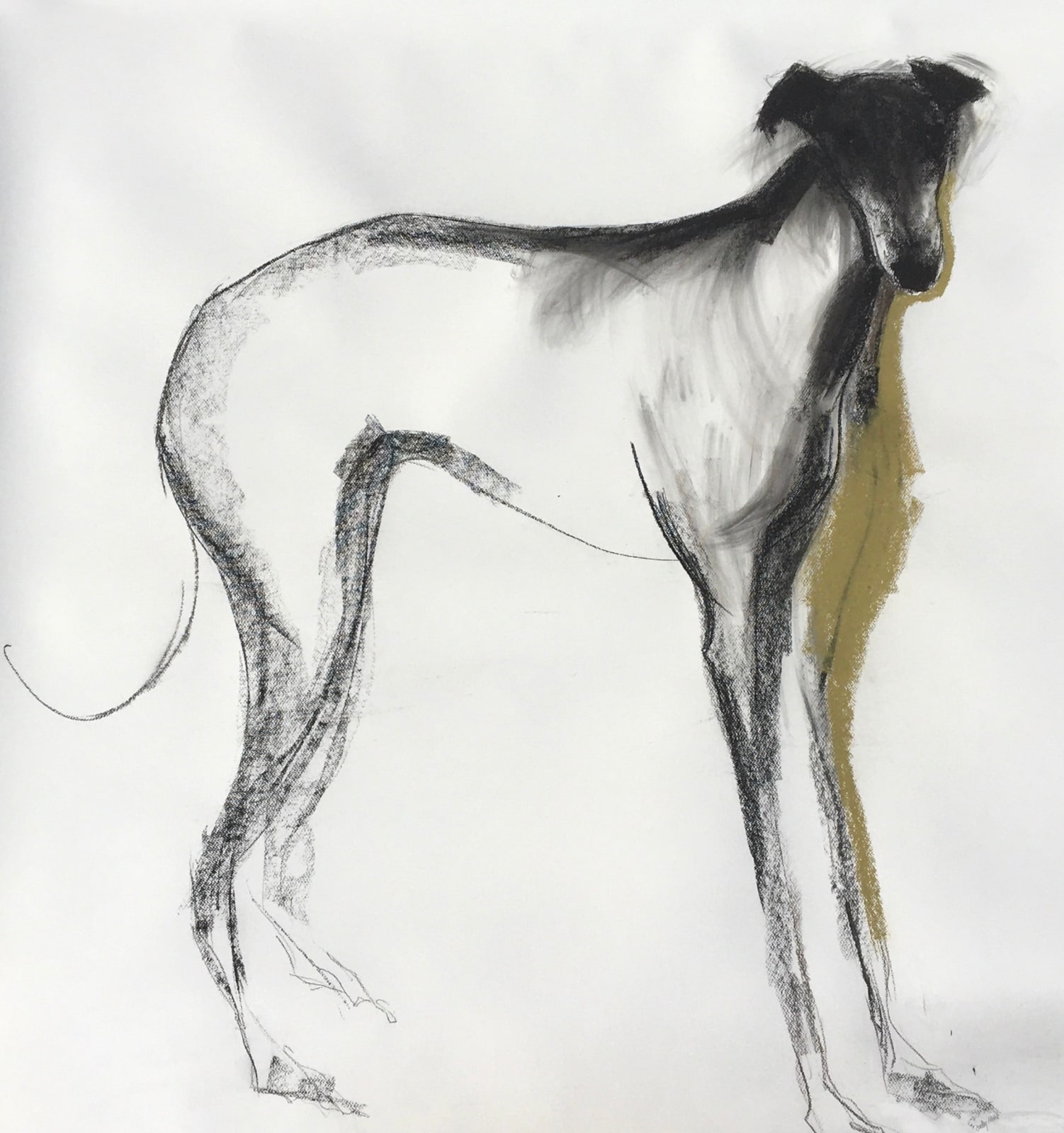 Sally Muir, Maud (Hungerford Gallery) | Cricket Fine Art