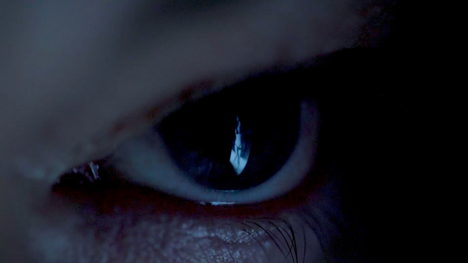 Douglas Gordon, upshot, 2020 | Dvir Gallery