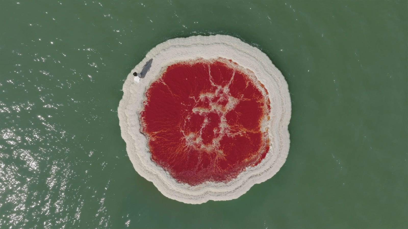 Sigalit Landau, There for Good, 2023 | Dvir Gallery