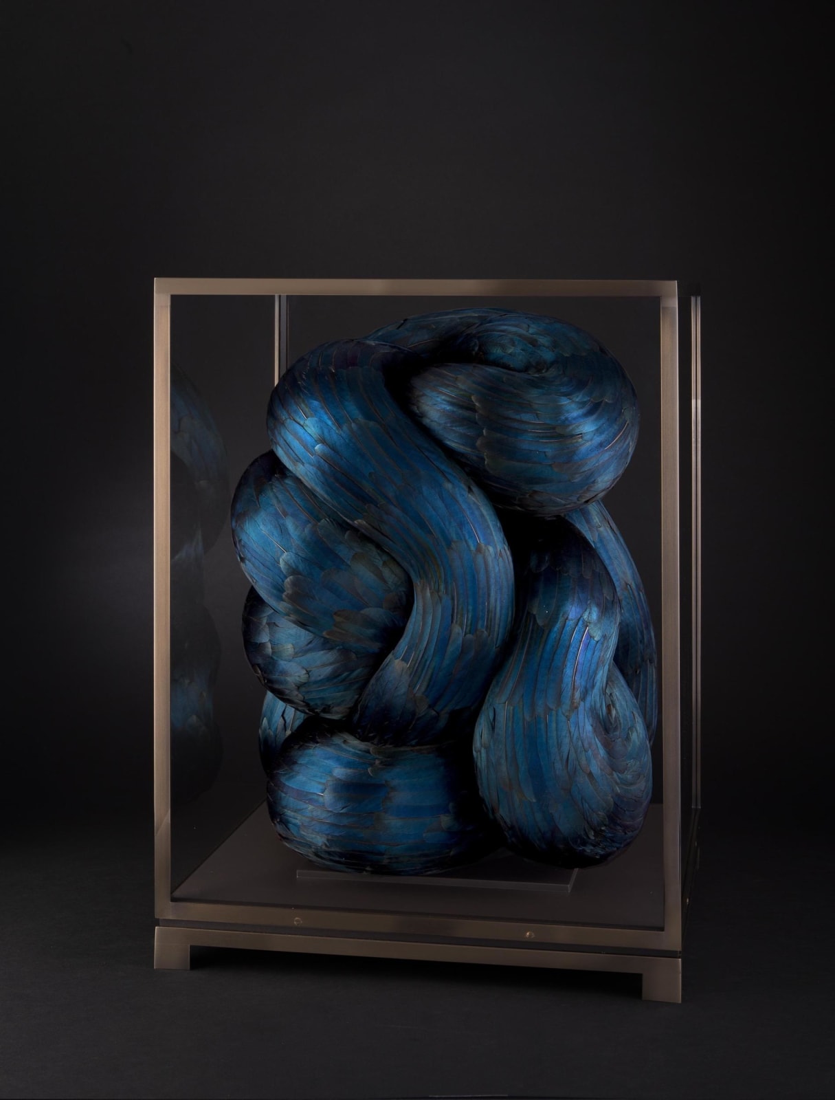 Kate MccGwire, SEQUESTER, 2021 | Les filles du calvaire