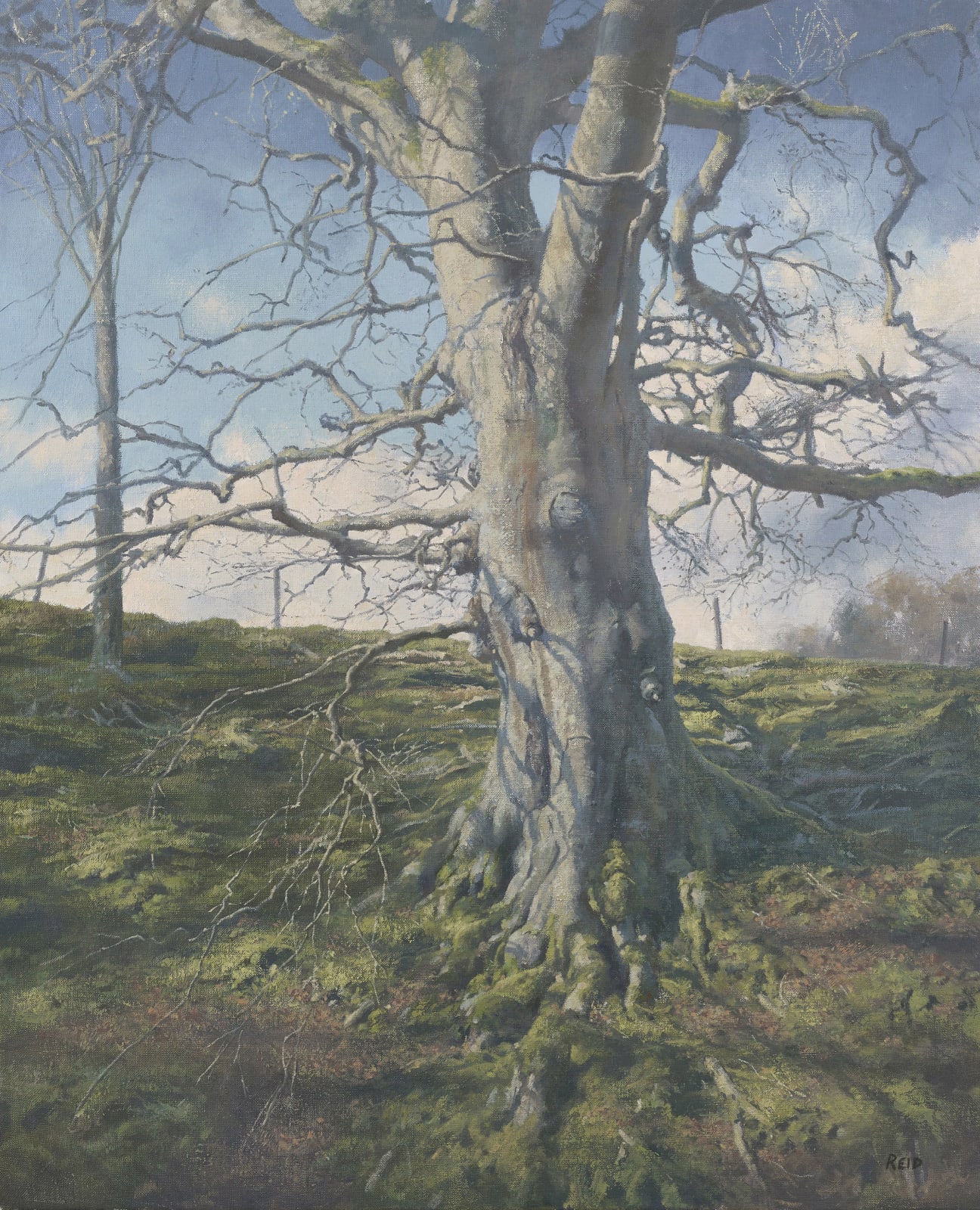 Paul Reid, Tree Study (Winter) | Fraser Gallery St Andrews
