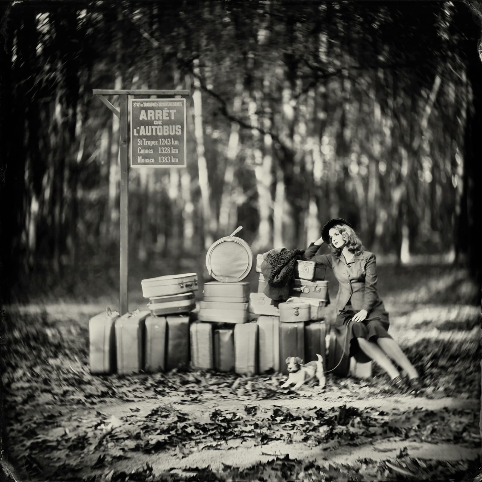 Alex Timmermans, Travelling Light | Gilman Contemporary