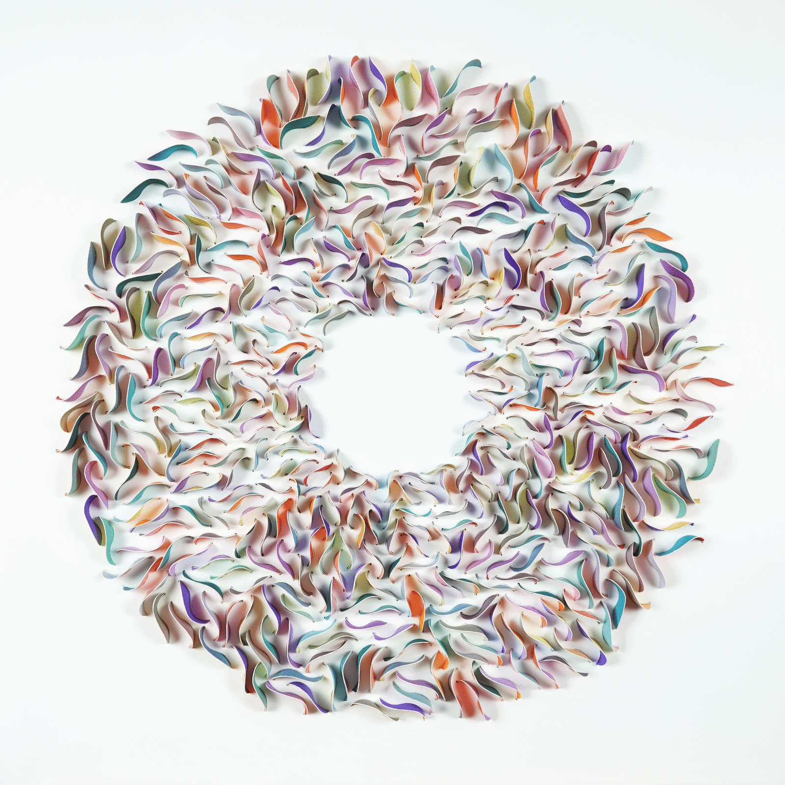 Peter Monaghan, Petals II | Gormleys Gallery