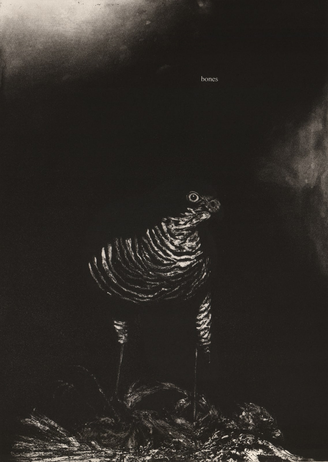 Ken Currie, Sparrowhawk, 2022 | shop.glasgowprintstudio.co.uk