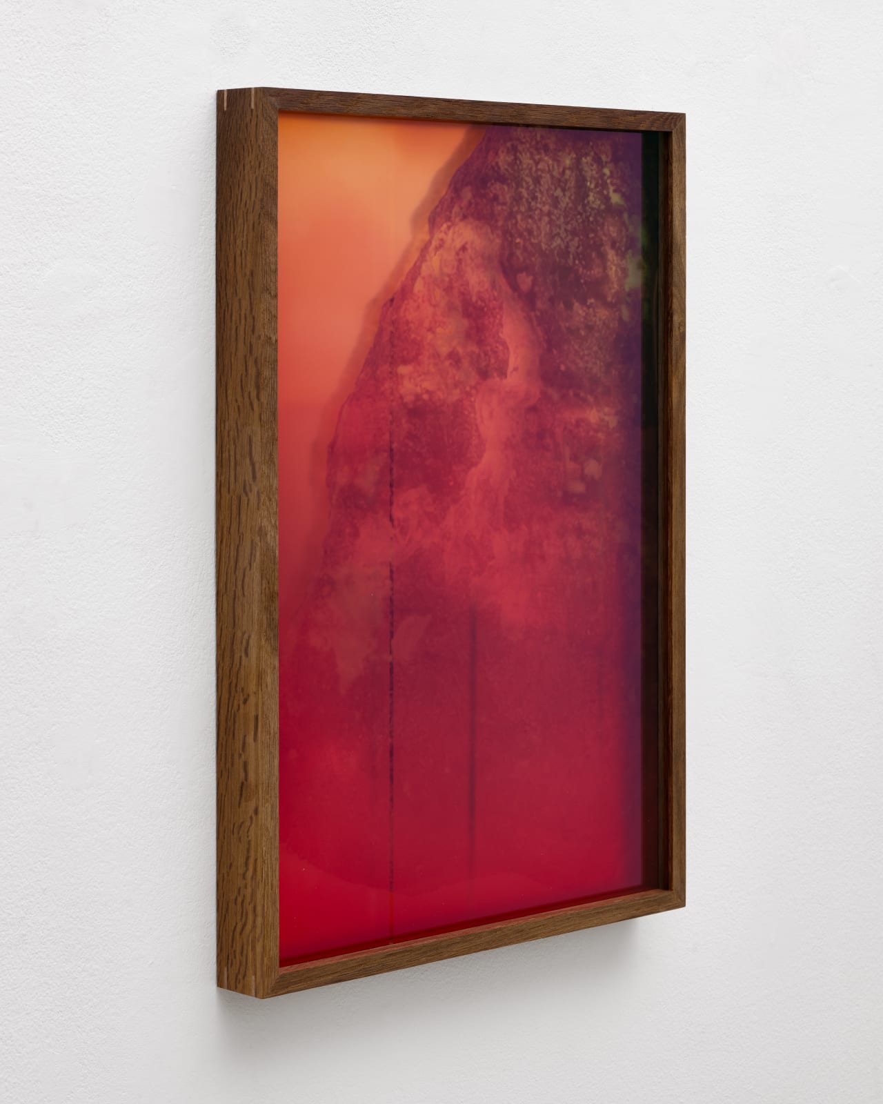Saskia Noor van Imhoff, Scenes / 07, 2025 | GRIMM