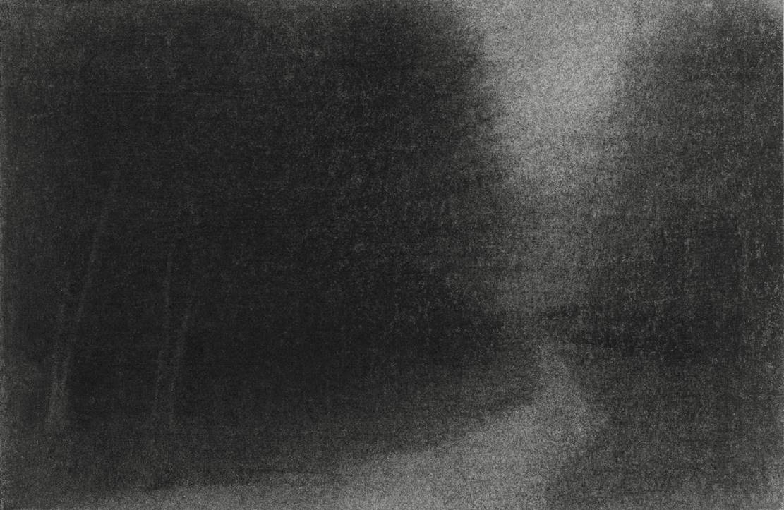 Mark Shields, Forest Path, 2019 | Grosvenor Gallery