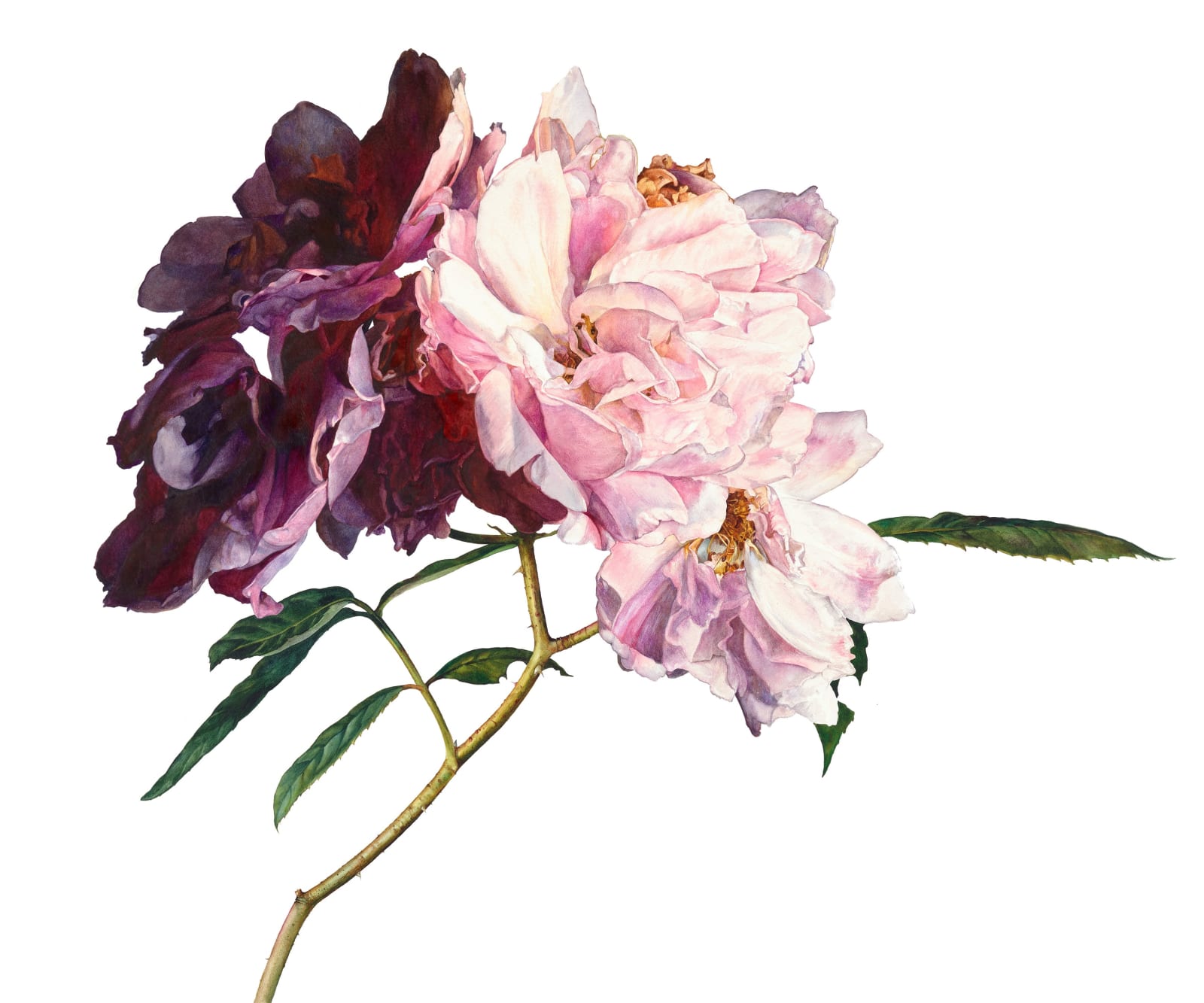 Rosie Sanders Poem Without Words 2019 Jonathan Cooper
