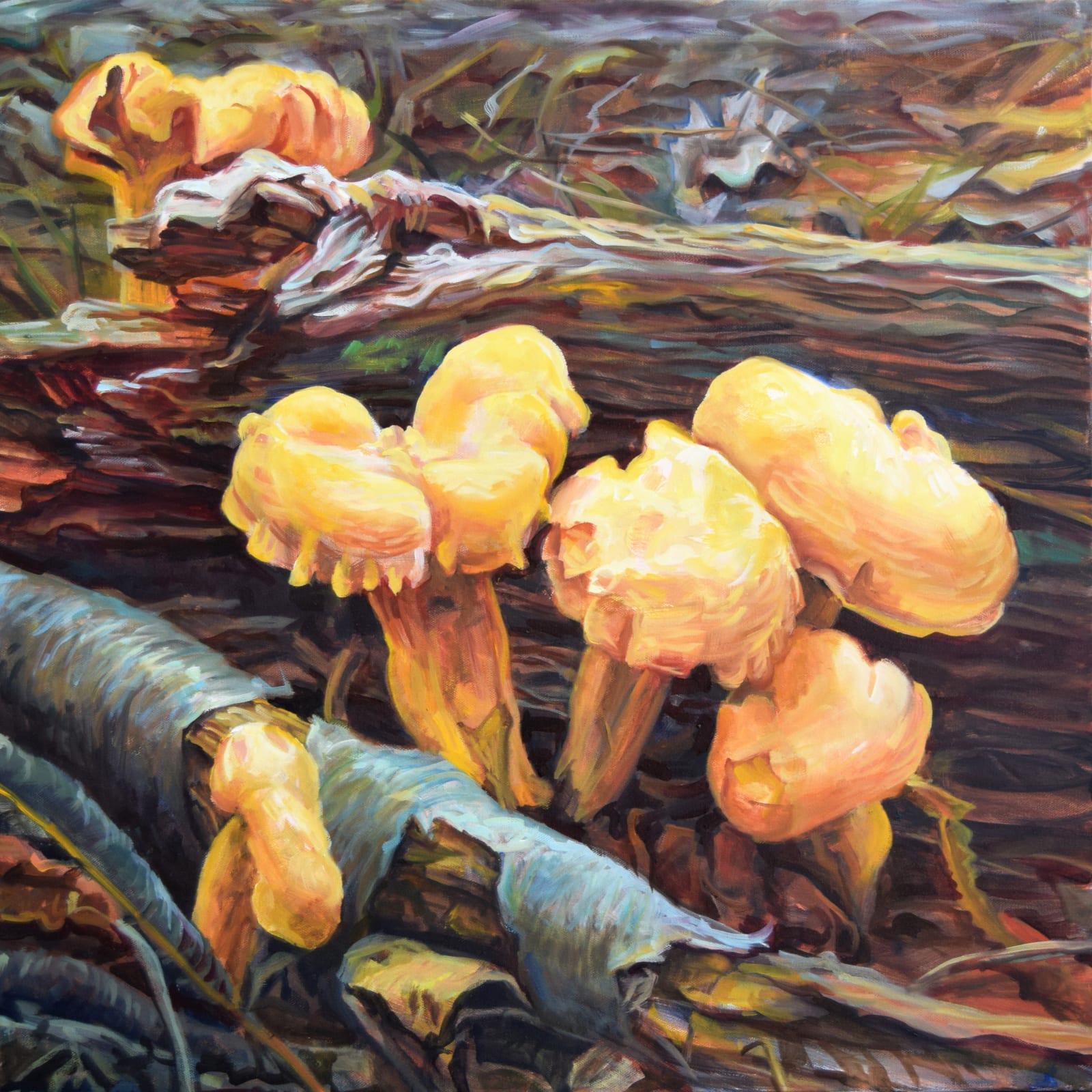 Andrea Kantrowitz, Chanterelles, 2023 | Kenise Barnes Fine Art