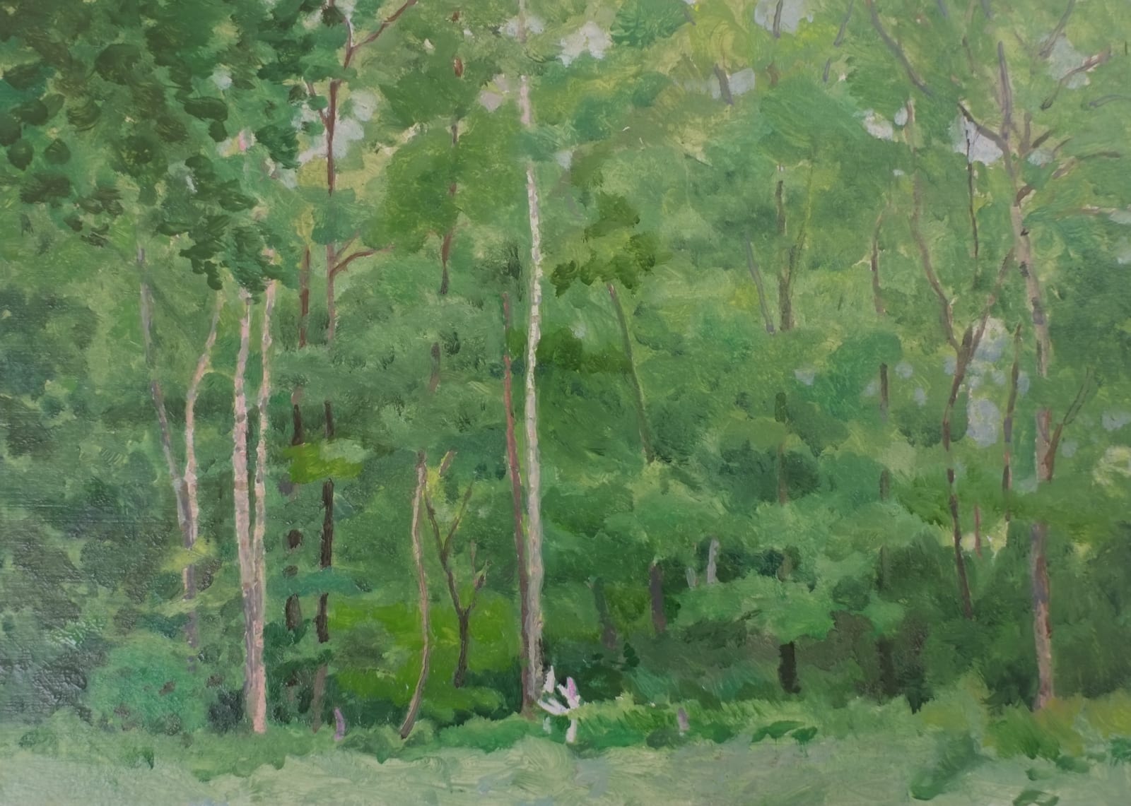 Mark Entwisle, Birches, 2022 | Long and Ryle