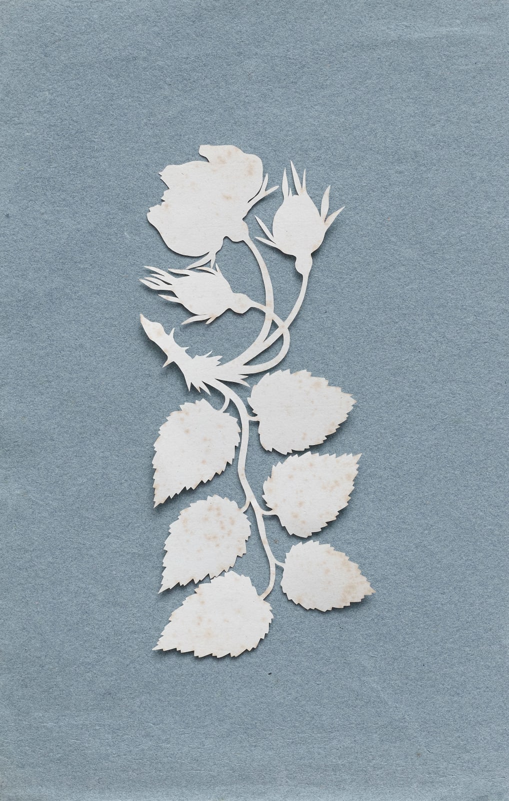 Philipp Otto Runge (1777–1810), Rose, c. 1800 | Mireille Mosler, Ltd.