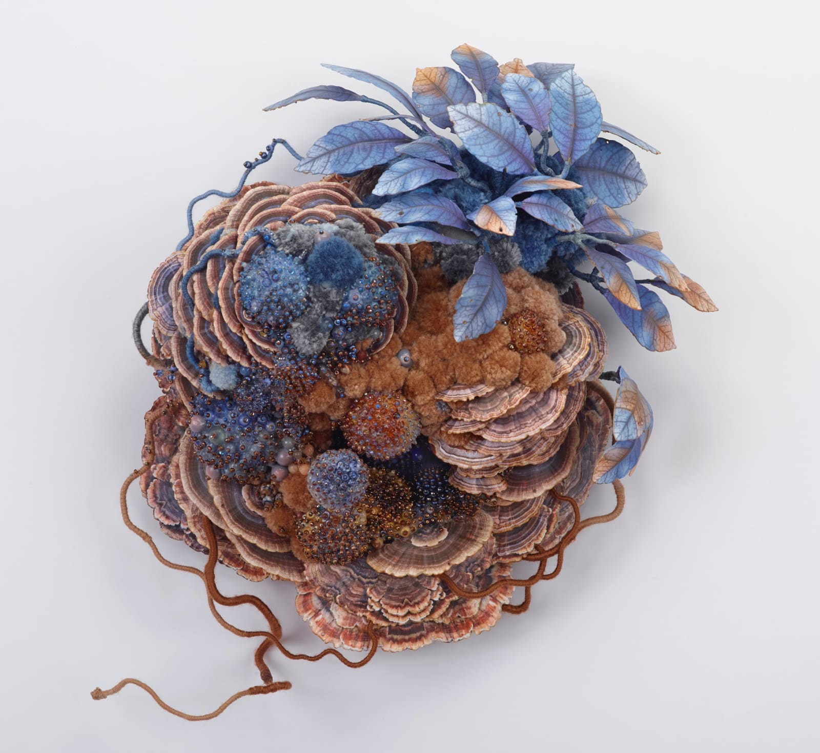 Amy Gross, T. Versicolor Biotope | Momentum Gallery